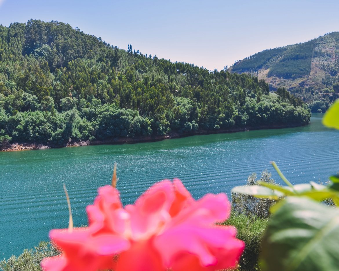 Visitar Albufeira da Barragem de Castelo de Bode - Guia | Ponto de Partida